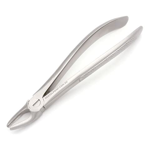 Image result for Extraction Forceps