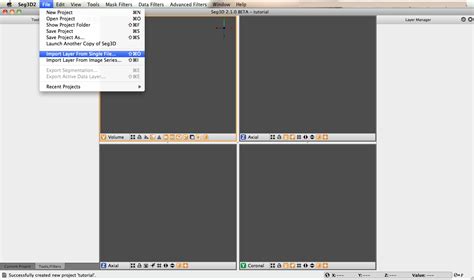 Image result for Seg3d Tutorial