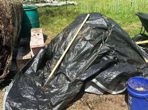 Image result for Compost Piles Homemade