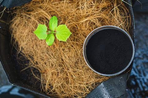 Image result for Humic Acid Icon