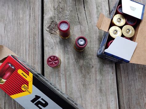 Image result for Small Shotgun Shells