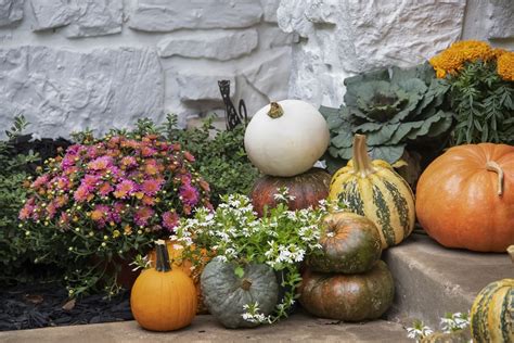 Image result for Fall Patio Decorating