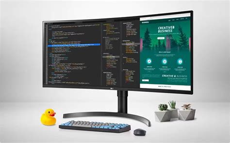 Image result for Monitor Types and Features Explained