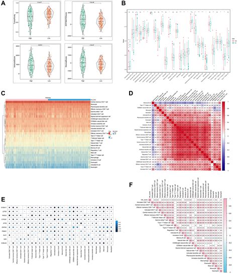 Image result for Super-Enhancer