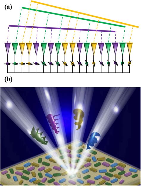 Image result for Geometric Phase Metasurface