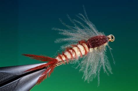 Image result for Mayfly Nymph Fly Patterns