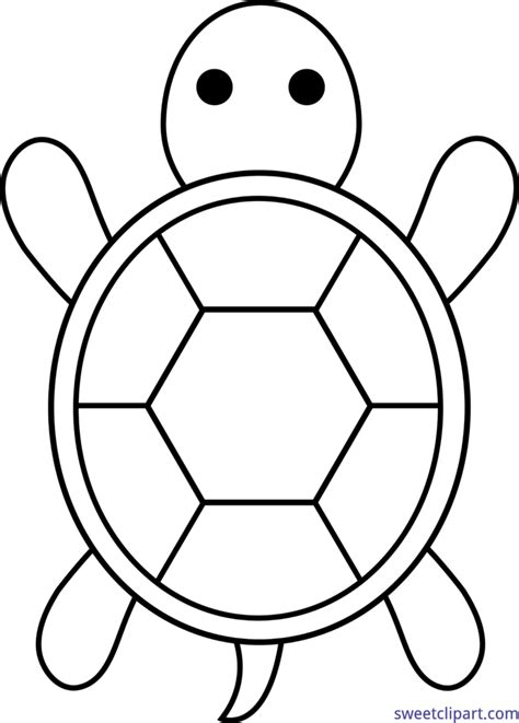 Turtle Shell Pattern Drawing at PaintingValley.com | Explore collection ...