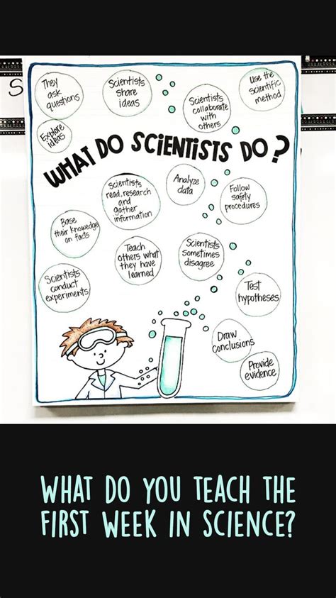 Image result for Grade School Science Activity