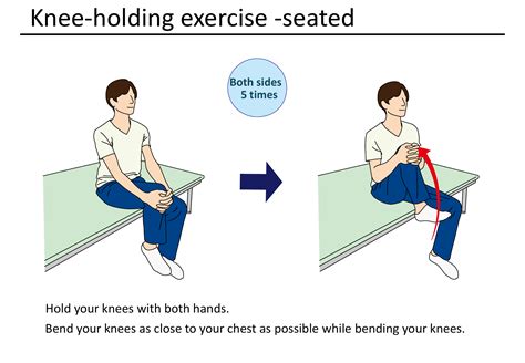 Image result for Trunk Bender Exercise