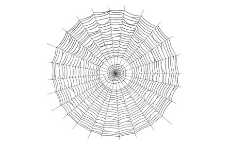 Image result for Draw Spider Web