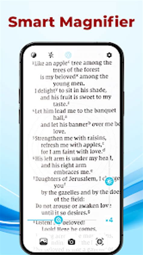 Image result for Video Magnifier