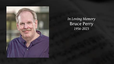Image result for Bruce Perry Slides