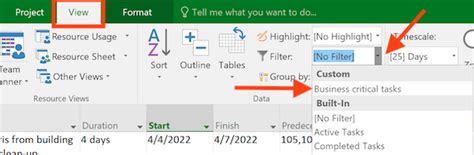 Image result for MS Project Using Critical Filter