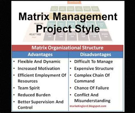 Image result for Matrix Management Structure Example