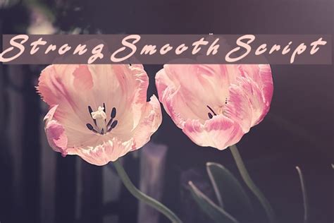 Image result for Strong Script Font