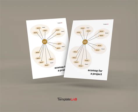 Image result for Ecomap Example with Key