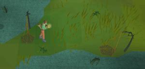 Image result for How to Catch Swamp Lizards OSRS