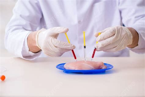 Image result for Human Body Food Lab