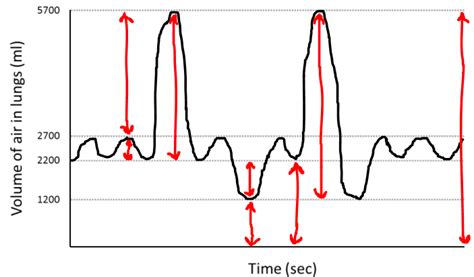 Image result for How to Read Spirogramm
