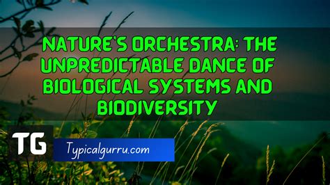 Image result for Unpredictable Dance