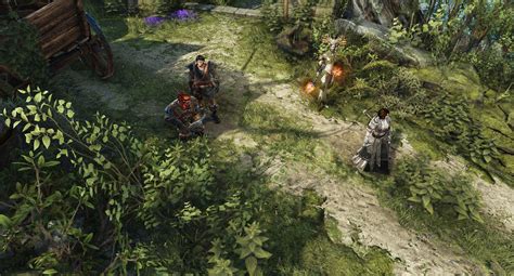 Image result for Divinity Original Sin 2 World Map