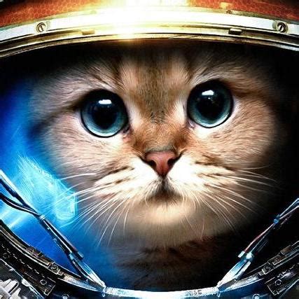 Image result for Metasploit Game