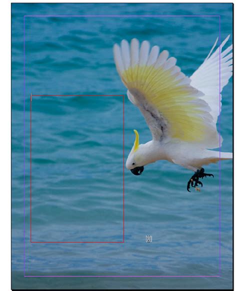 Image result for Set Transparency in InDesign