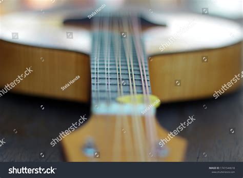 Image result for 10 String Mandolin