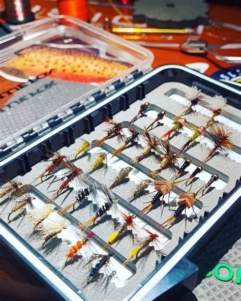 Image result for Pleava Perdigon Fly Pattern