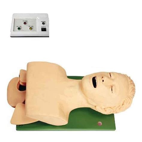 Image result for Intubation Training