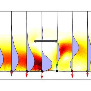 Image result for Morphological Modelling