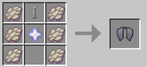 Image result for Elytra Guide