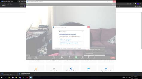 Image result for Zoom Issues
