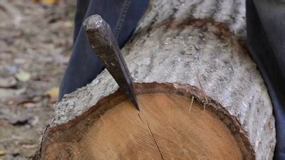 Image result for How to Split a Log