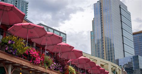 Image result for Phase One Sample