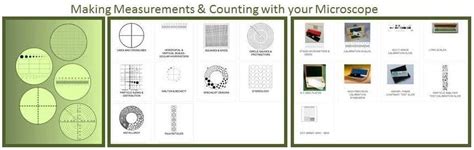 Image result for How to Calibrate Using Microscope