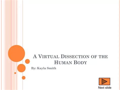 Image result for Virtual Human Body Dissection