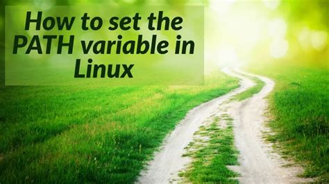 Image result for Linux How to Set Path of Shell
