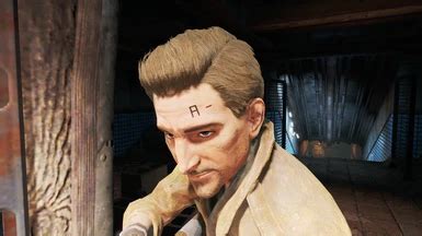 Image result for Fallout 4 MacCready Face Mod