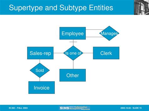 Image result for Entity Subtype