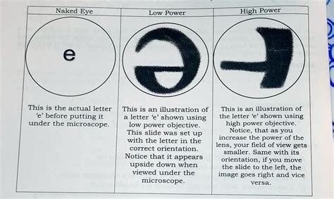 Image result for Science Letter E