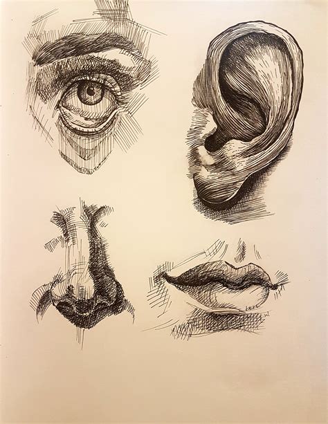 Image result for Ink Line Drawing of Object