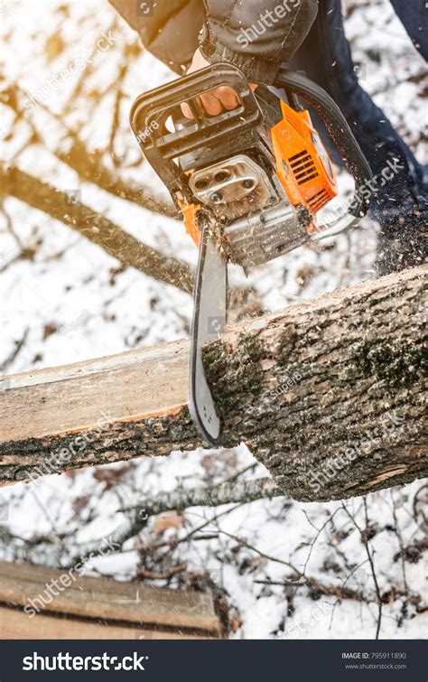 Image result for Tree Saws Hand