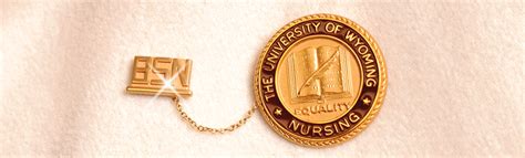 Image result for RN to BSN Completion Programs