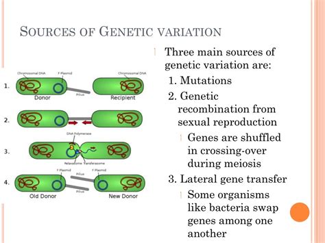 Image result for Sources of Variation