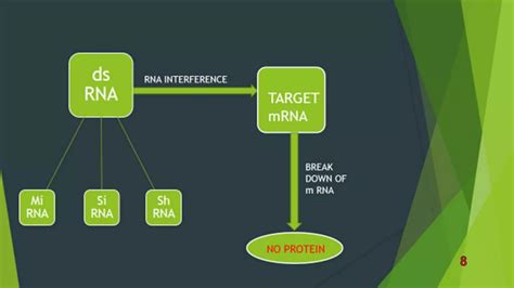 Image result for RNA Interference