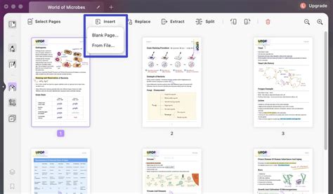 Image result for Add Pages to a PDF
