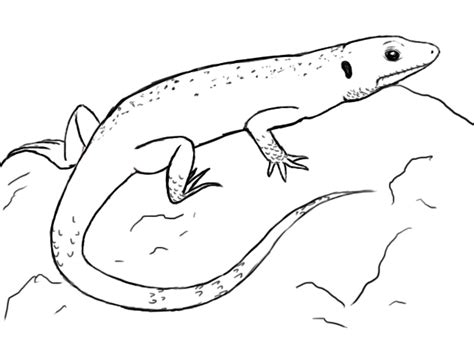 Image result for Form Art Element Drawing Simple Lizard