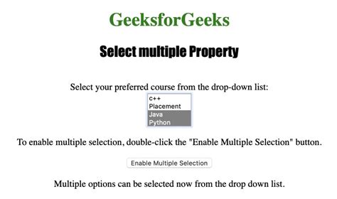 Image result for HTML Multiple Choice Input
