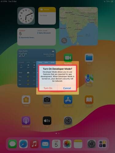 Image result for Developer Mode Required iOS